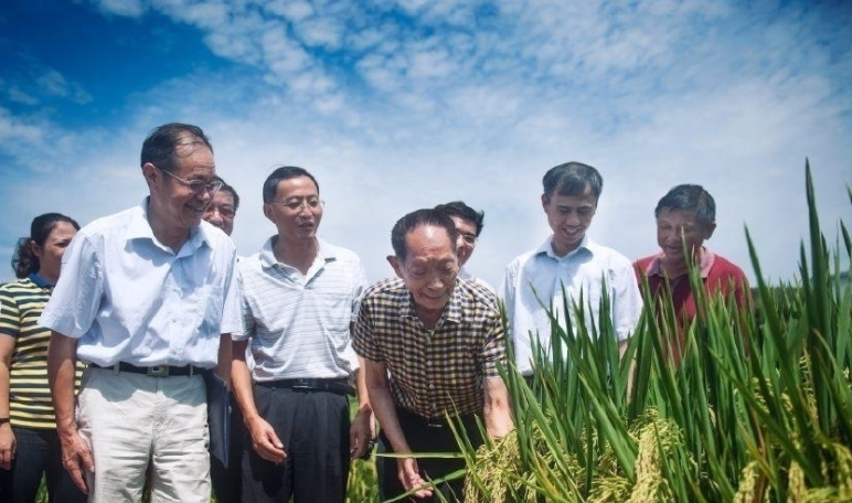 A lifelong dedication to keep people fed: The life of Yuan Longping ...